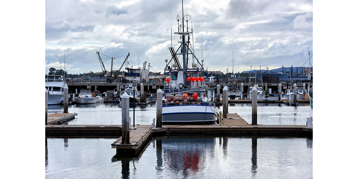 Clúster TIC GALICIA | Emetel xestionará a dixitalización e gobernanza ...