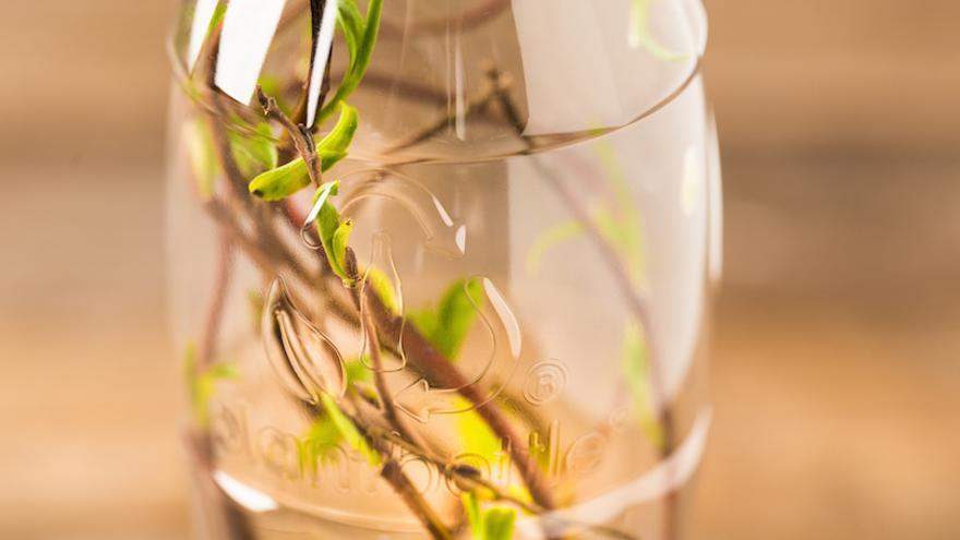 Packaging Cluster | Coca-Cola innova para lograr envases más sostenibles