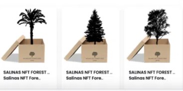 Packaging Cluster | Salinas Packaging Group impulsa un proyecto de ...