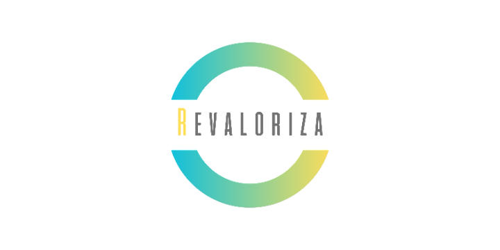 VITARTIS | REVALORIZA - Estrategias para la revalorización de residuos de Automoción ...